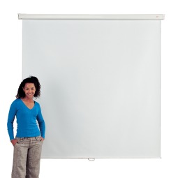 Projector Screens | Discount Displays