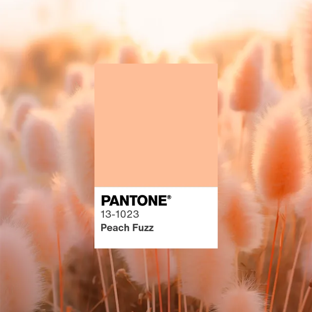 Mastering Colour Consistency: The Pantone Colour System - Discount ... Mastering Colour Consistency: The Pantone Colour System - Discount ...